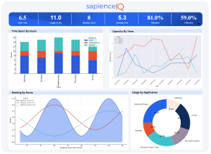 Productivity Analytics – Sapience Workforce Intelligence